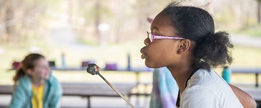 Girl Scouts of Eastern Massachusetts (GSEMA)